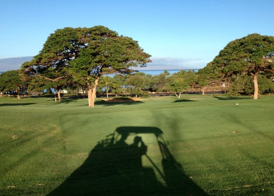 What Do You Expect from a Vacation Golf