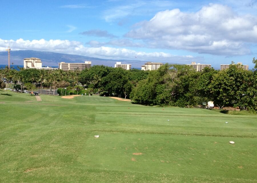 What Do You Expect from a Vacation Golf