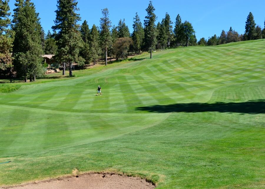 What Do You Expect from a Vacation Golf