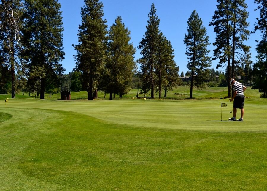 What Do You Expect from a Vacation Golf