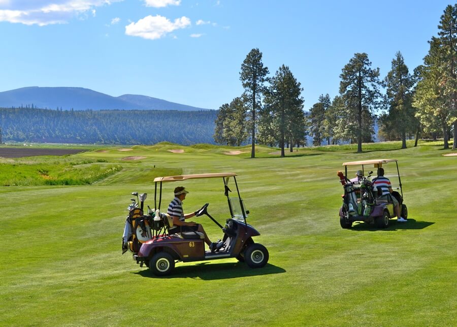 What Do You Expect from a Vacation Golf