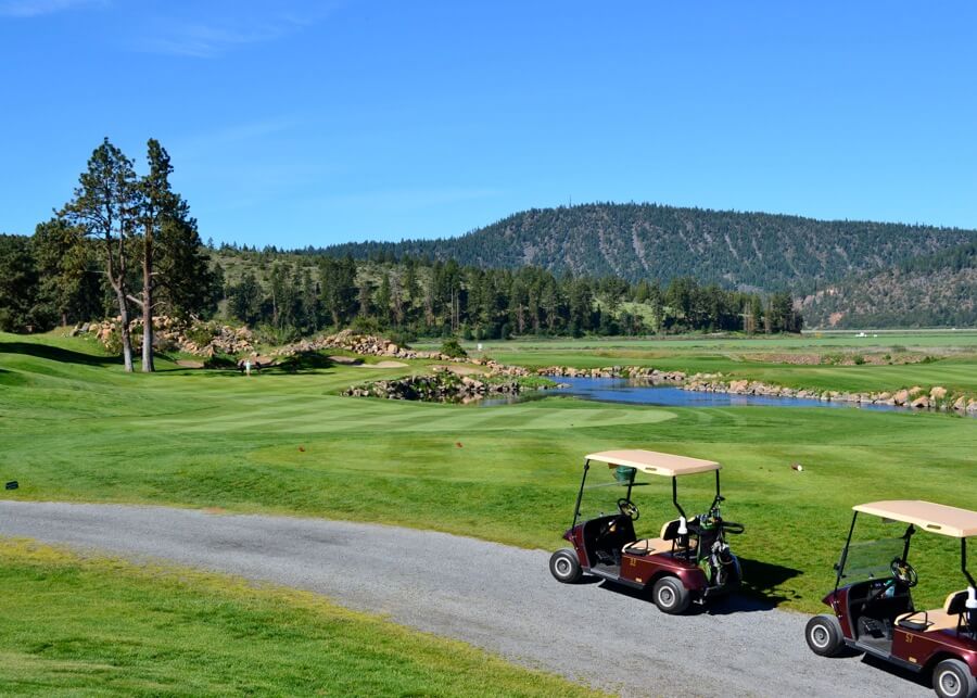 What Do You Expect from a Vacation Golf