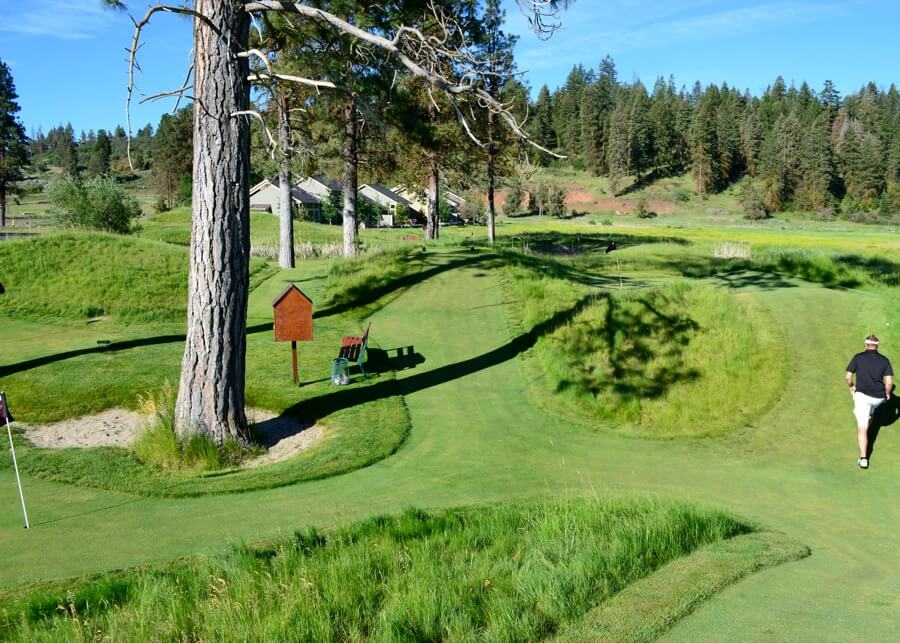 What Do You Expect from a Vacation Golf