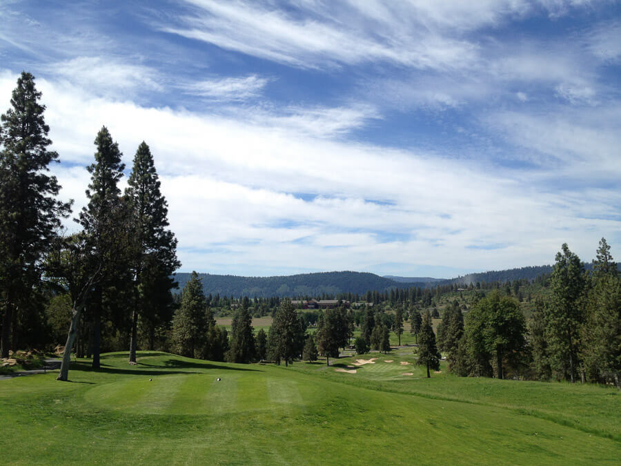 What Do You Expect from a Vacation Golf