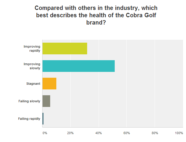 Cobra Brand Survey - The Results