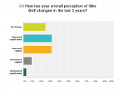 Nike Brand Survey - The Results