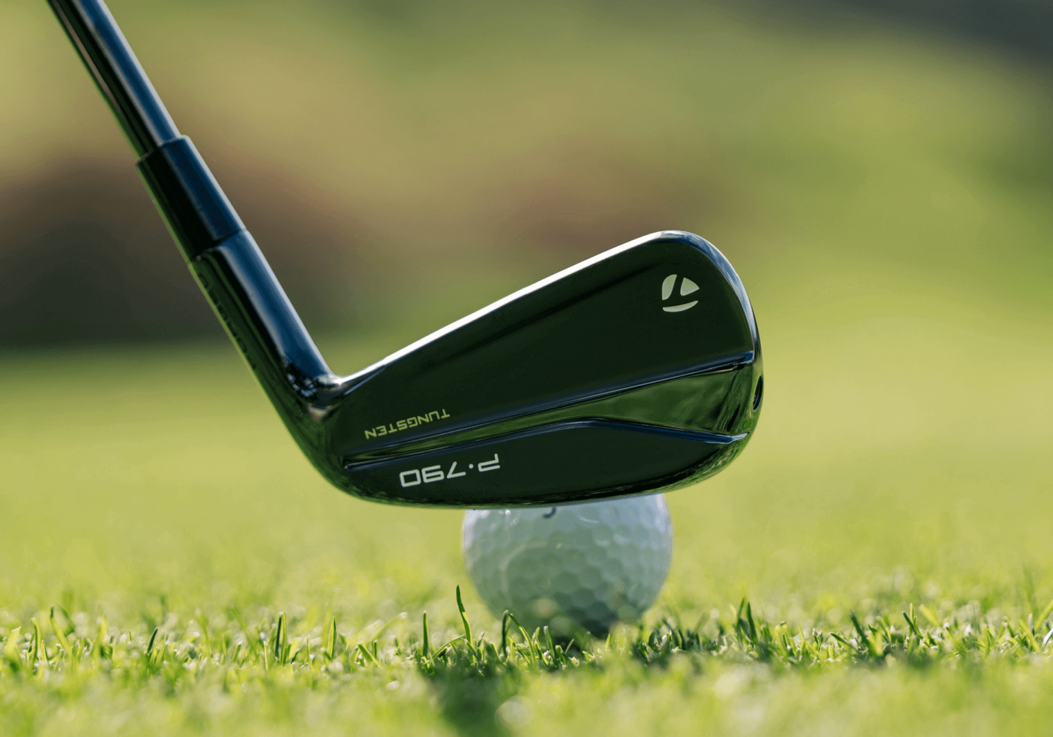 TaylorMade P790 Phantom Black Irons | MyGolfSpy