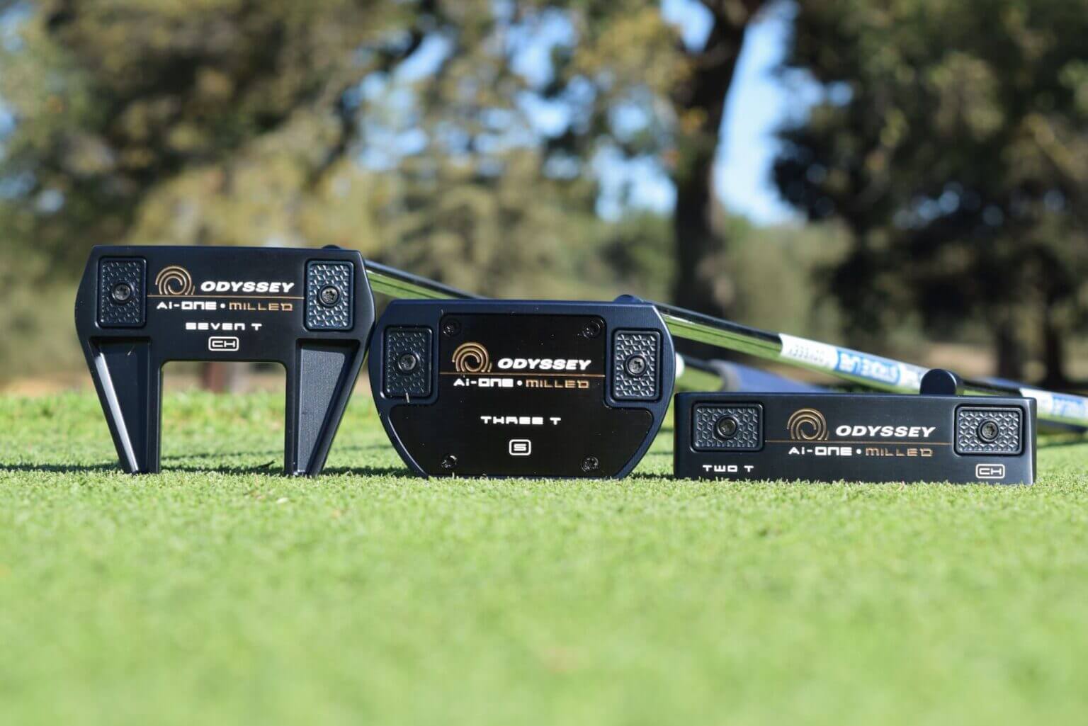 Everything You Need to Know About the New Odyssey Ai-ONE Putters ...