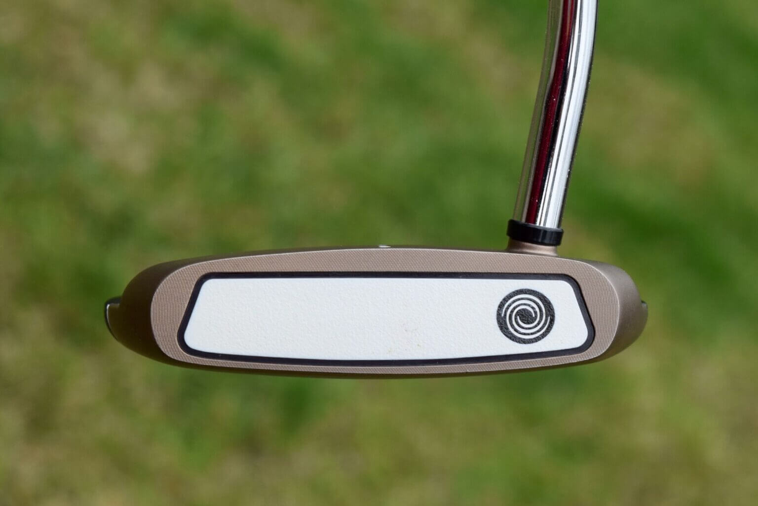 Dave's Dirty Dozen Putters | MyGolfSpy