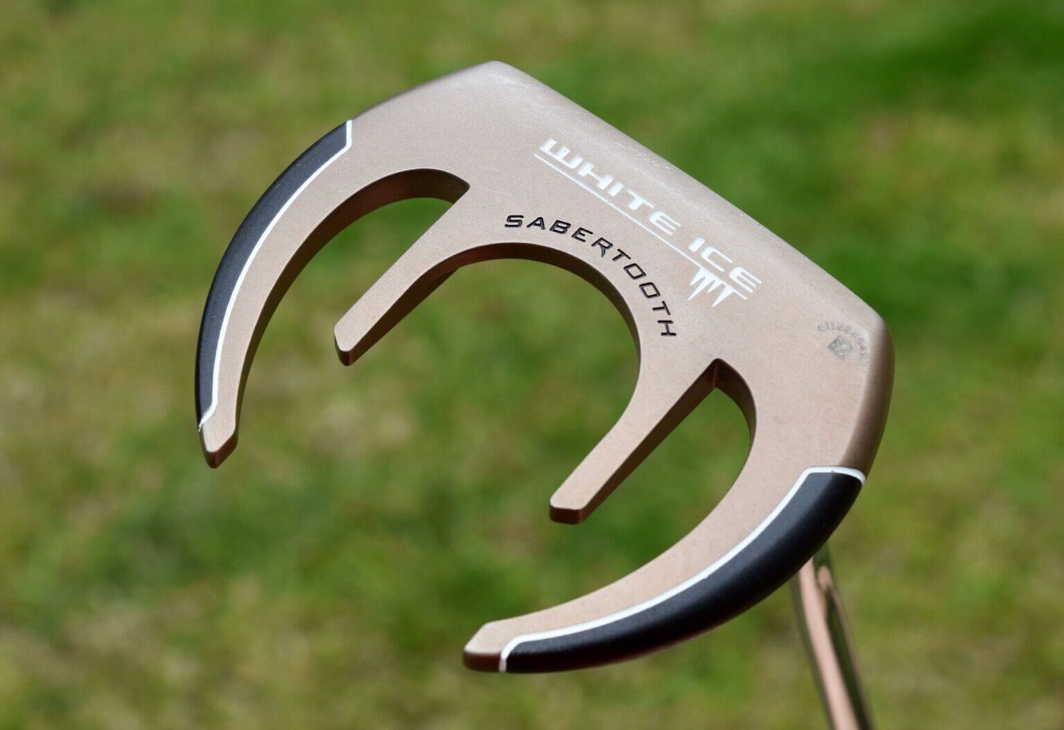 Dave's Dirty Dozen Putters | MyGolfSpy