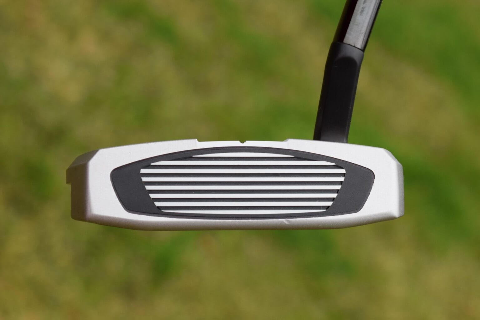 Dave's Dirty Dozen Putters | MyGolfSpy