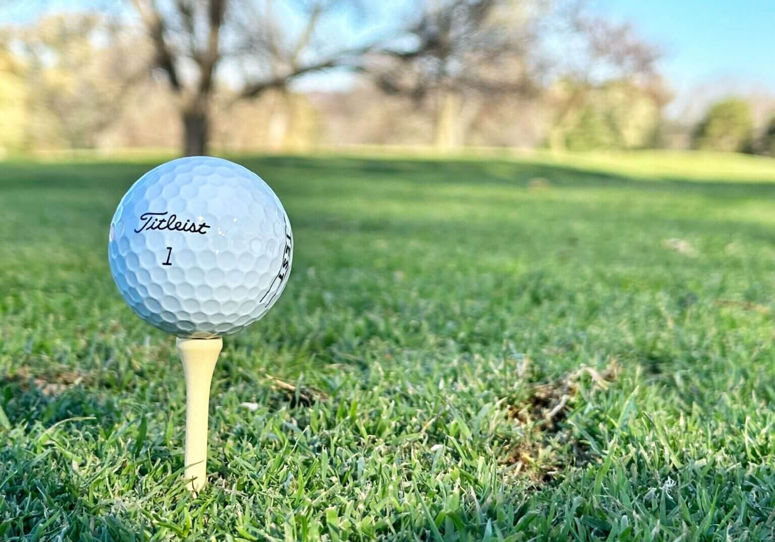 Forum Member Review: Titleist White Box Golf Balls | MyGolfSpy