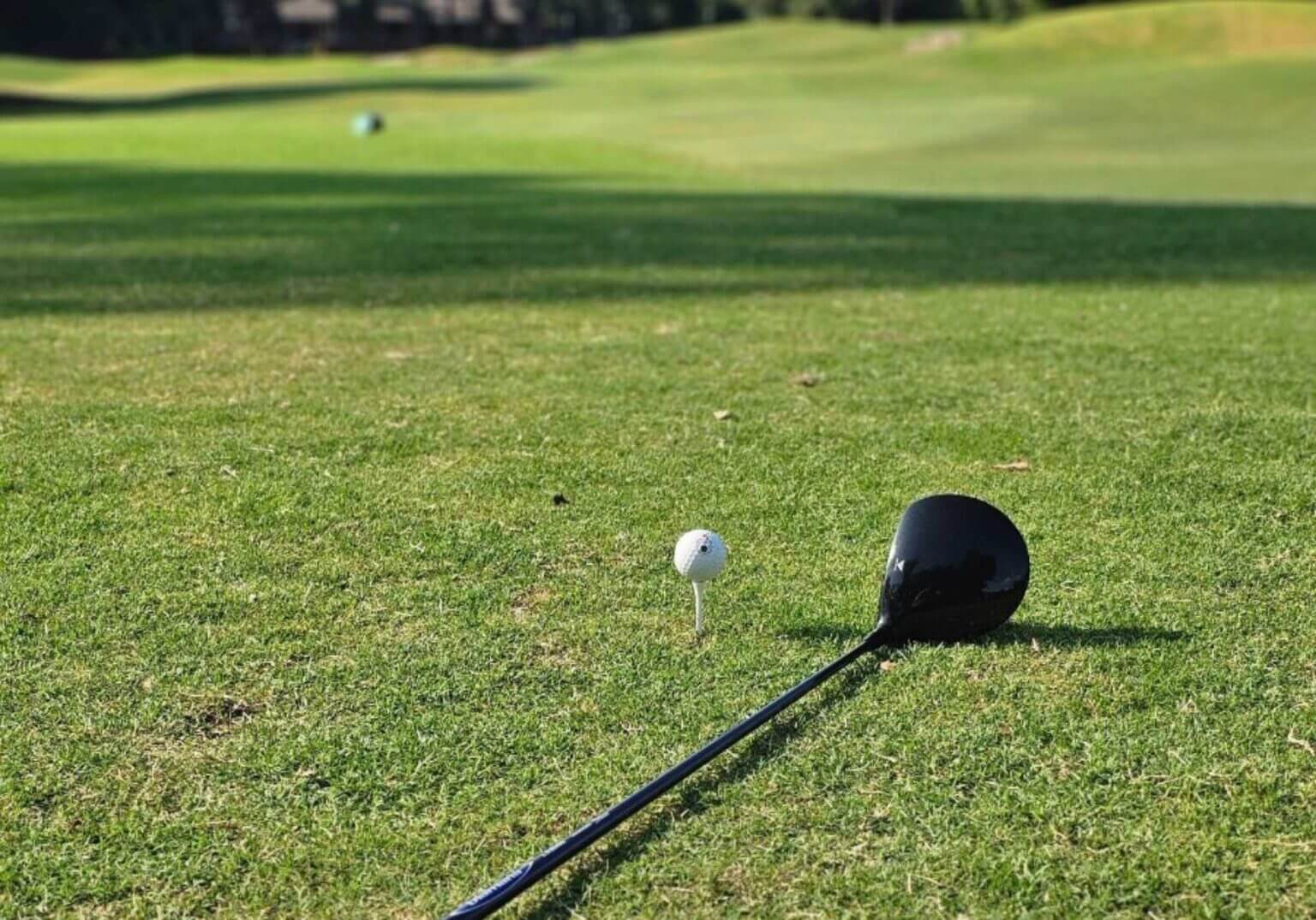 Forum Member Review: Bridgestone Mindset Golf Balls | MyGolfSpy