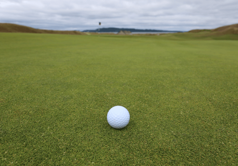 How the Three Main Types of Putting Green Grasses Could Affect Your ...