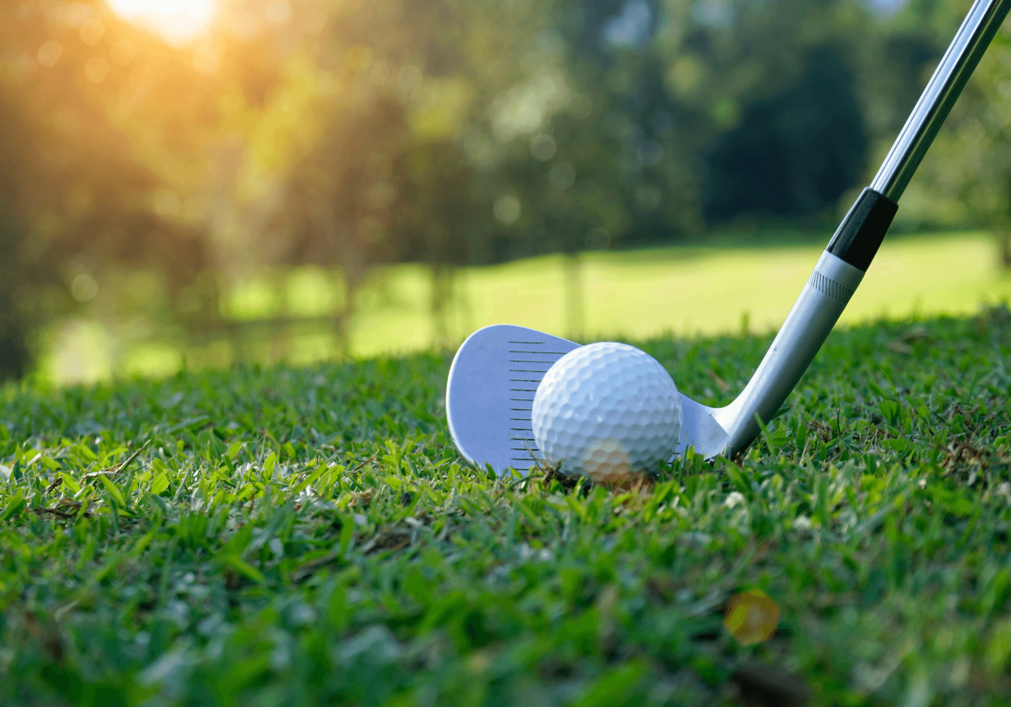 Golf Driver Setup Versus Golf Iron Setup | MyGolfSpy