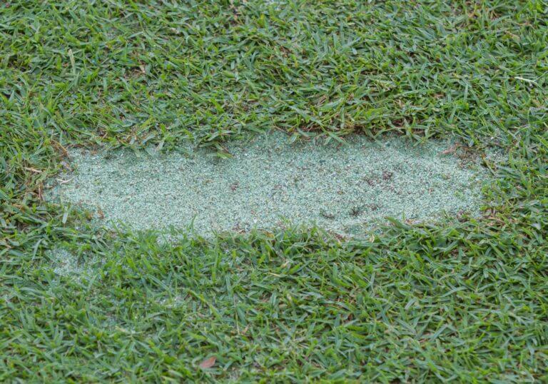What Is A Golf Divot? | MyGolfSpy