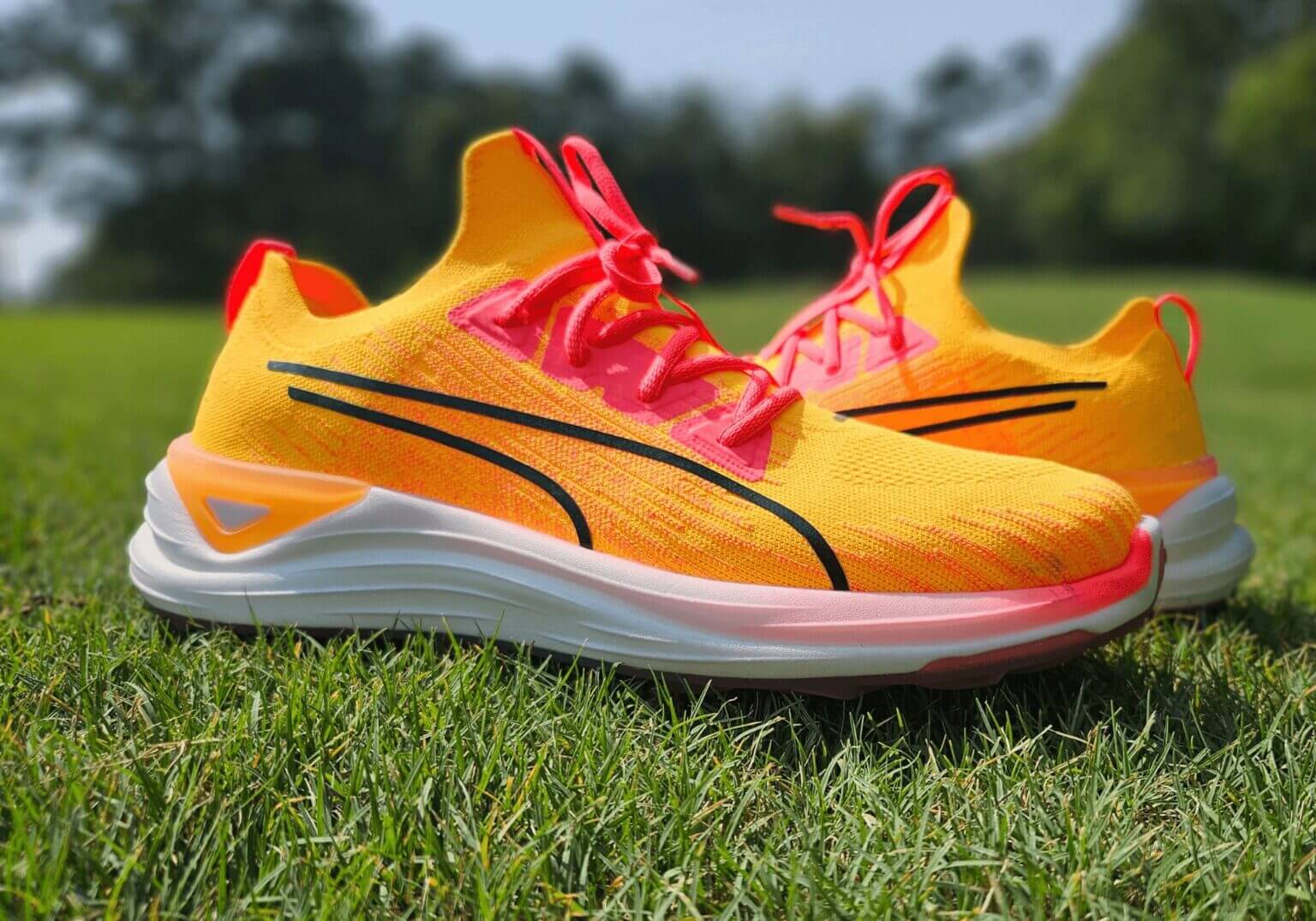 Everyone Asks Me Which Golf Shoes To Buy. Here's What I Tell Them ...