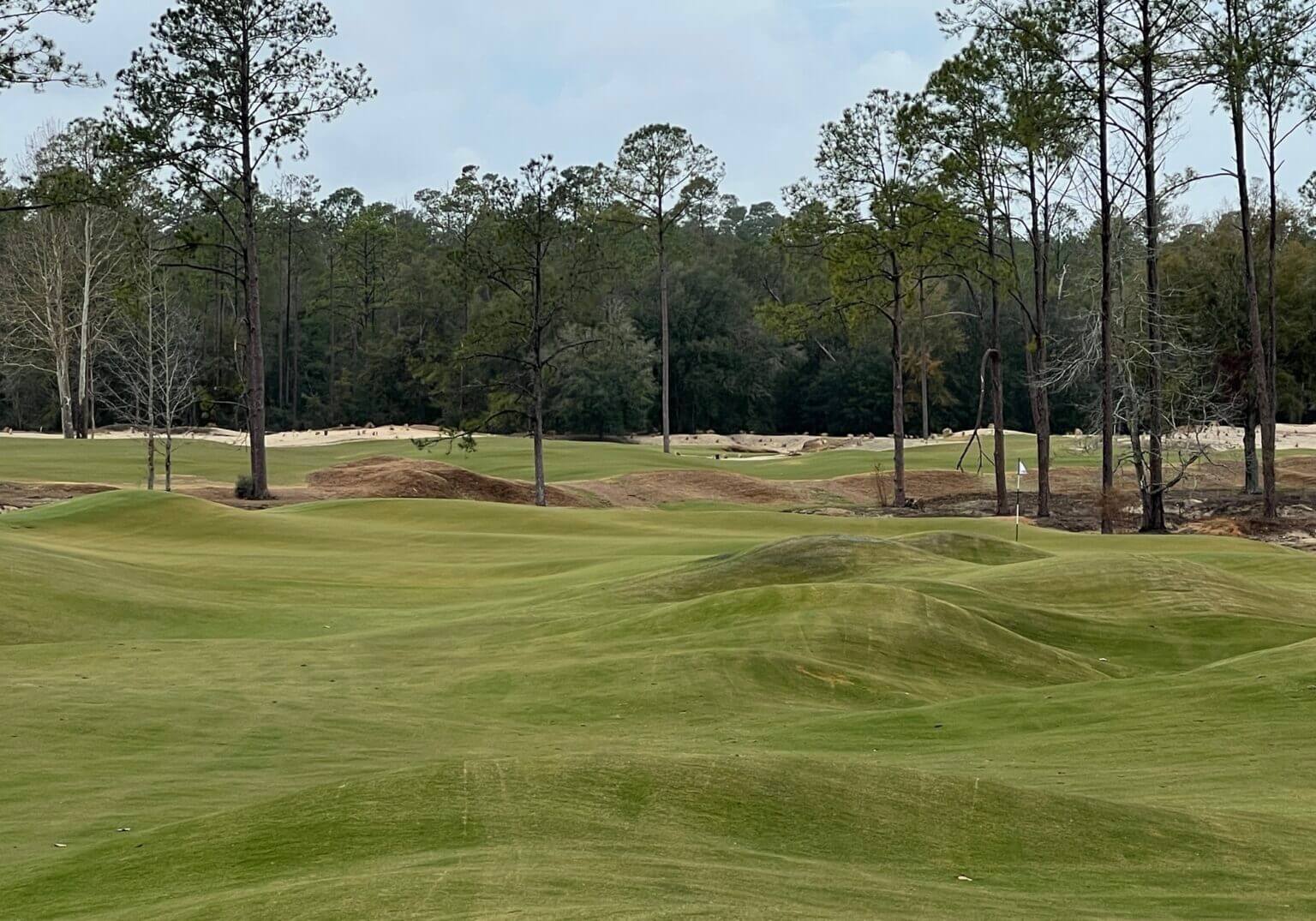 MyGolfSpy Experiences: Cabot Citrus Farms, Brooksville, Florida | MyGolfSpy