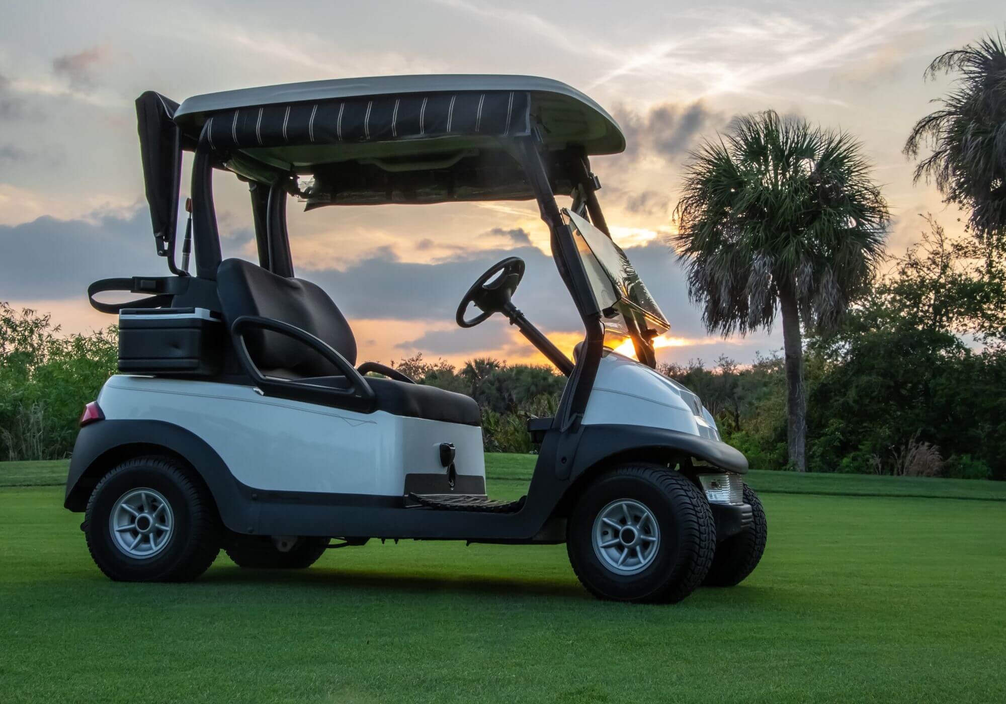 10 Ways To Customize Your Golf Cart | MyGolfSpy