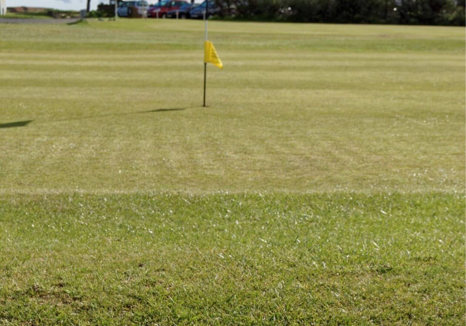 How To Play Golf On A Course That’s In Rough Shape | MyGolfSpy