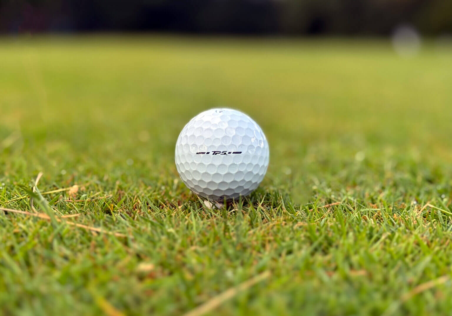 Unconventional Wisdom: The Multiple Golf Ball Approach That Could ...