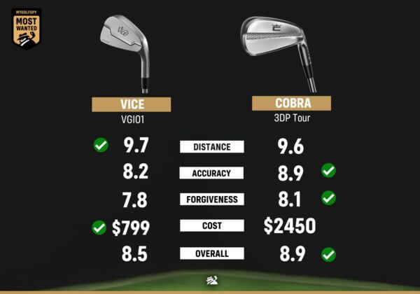 Most Expensive Versus Least Expensive Player's Iron 2025 (What's The ...