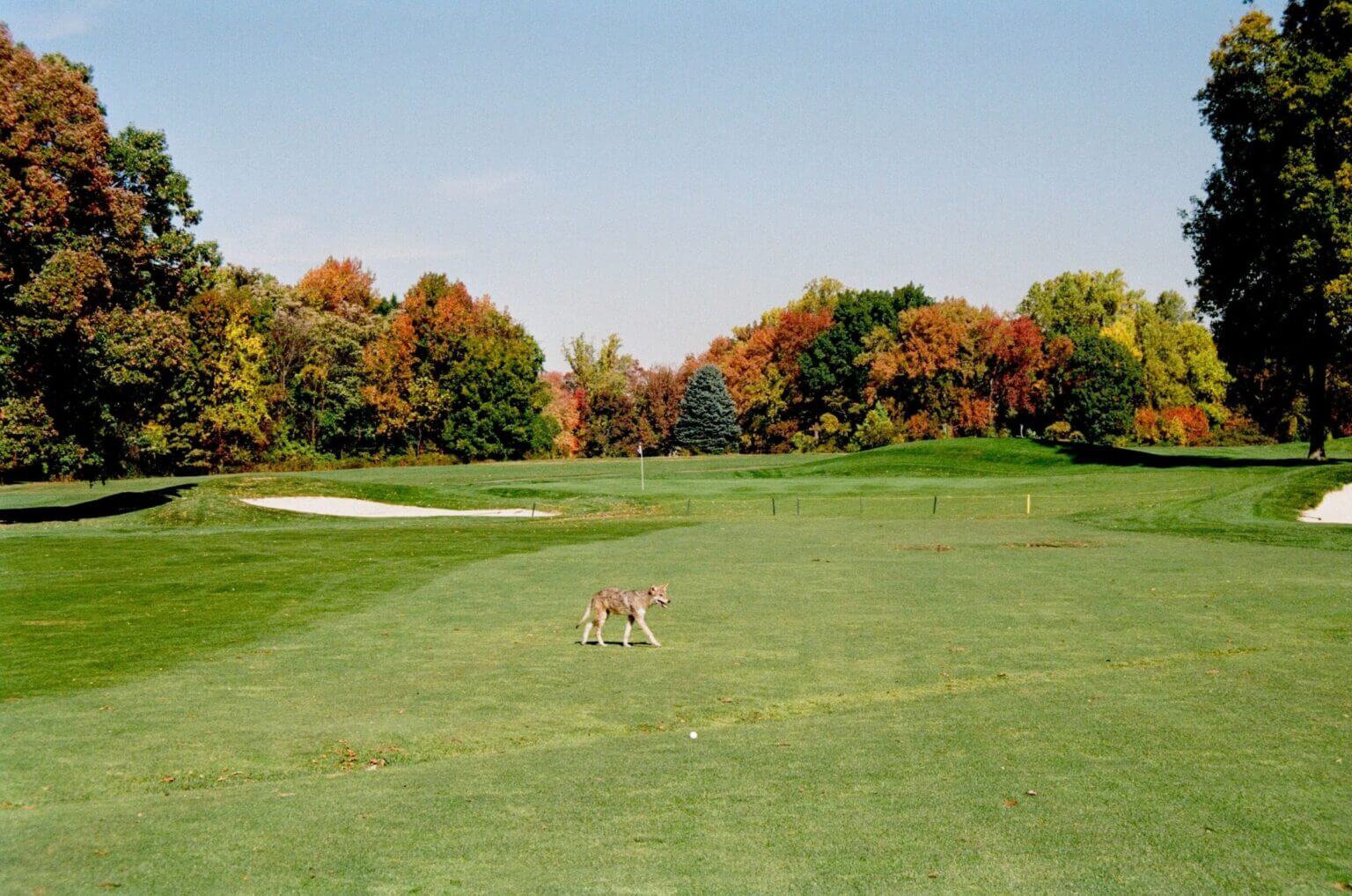 The 10 Worst Golf Courses In America | MyGolfSpy