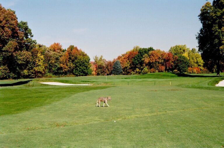 The 10 Worst Golf Courses In America | MyGolfSpy