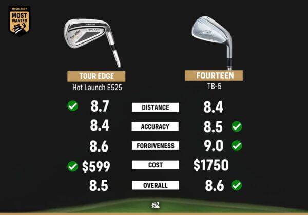 Most Expensive Versus Least Expensive Game-Improvement Irons 2025 (What ...