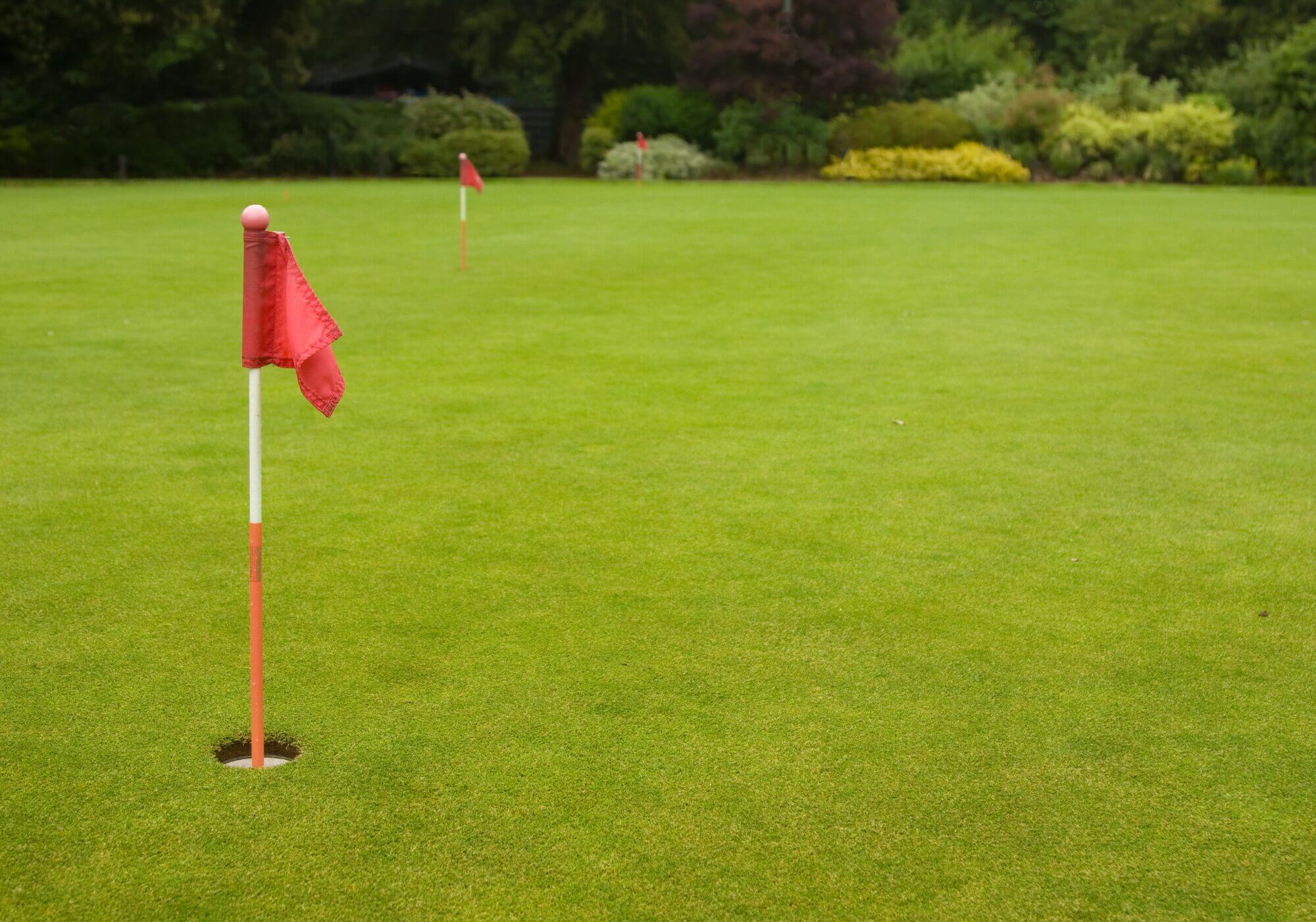 What Actually Makes A Wedge Shot Stop On The Green? (And What Makes It ...
